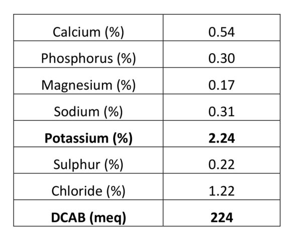 Dry Cow Silage Is Key To A Successful Transition Period. - Fane Valley ...