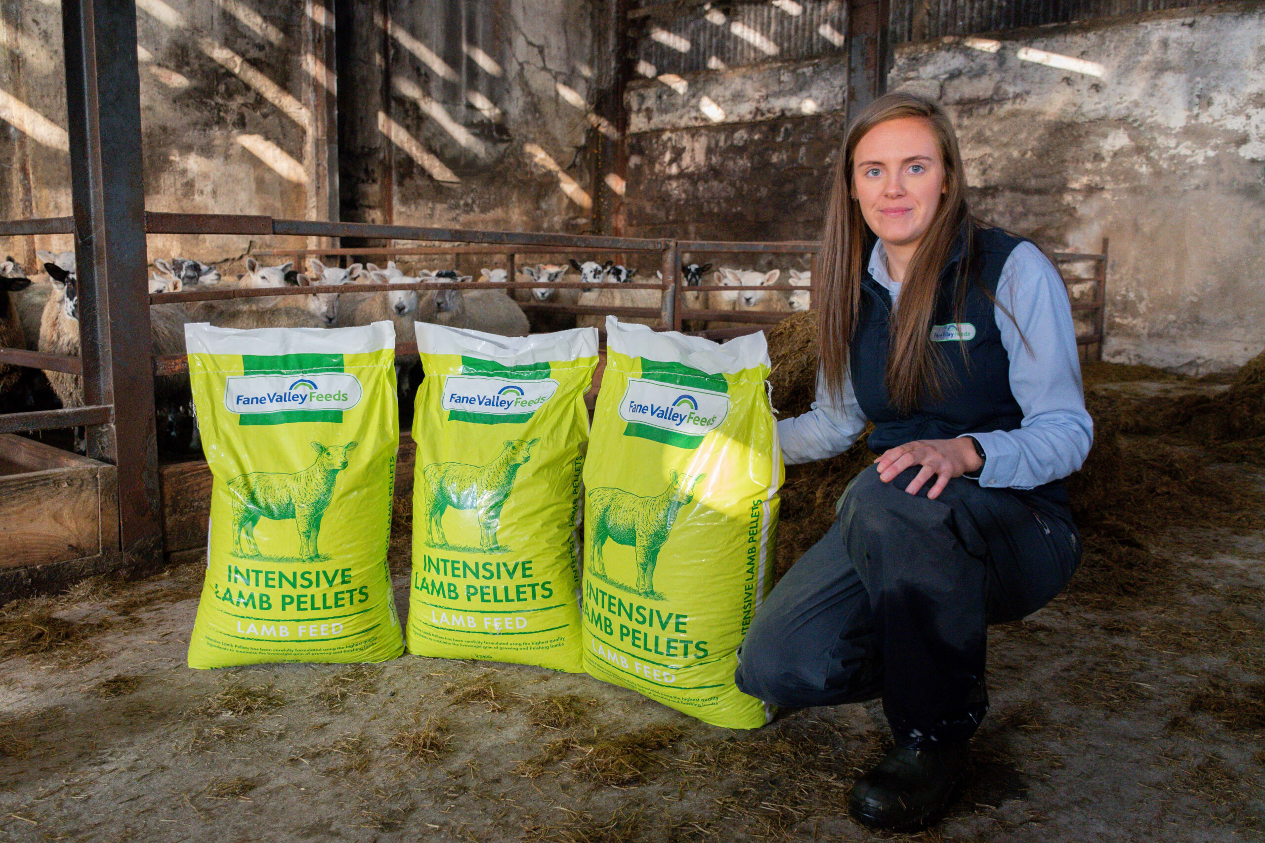 Fane Valley Feeds Guide To A Successful Lambing Period. - Fane Valley Feeds