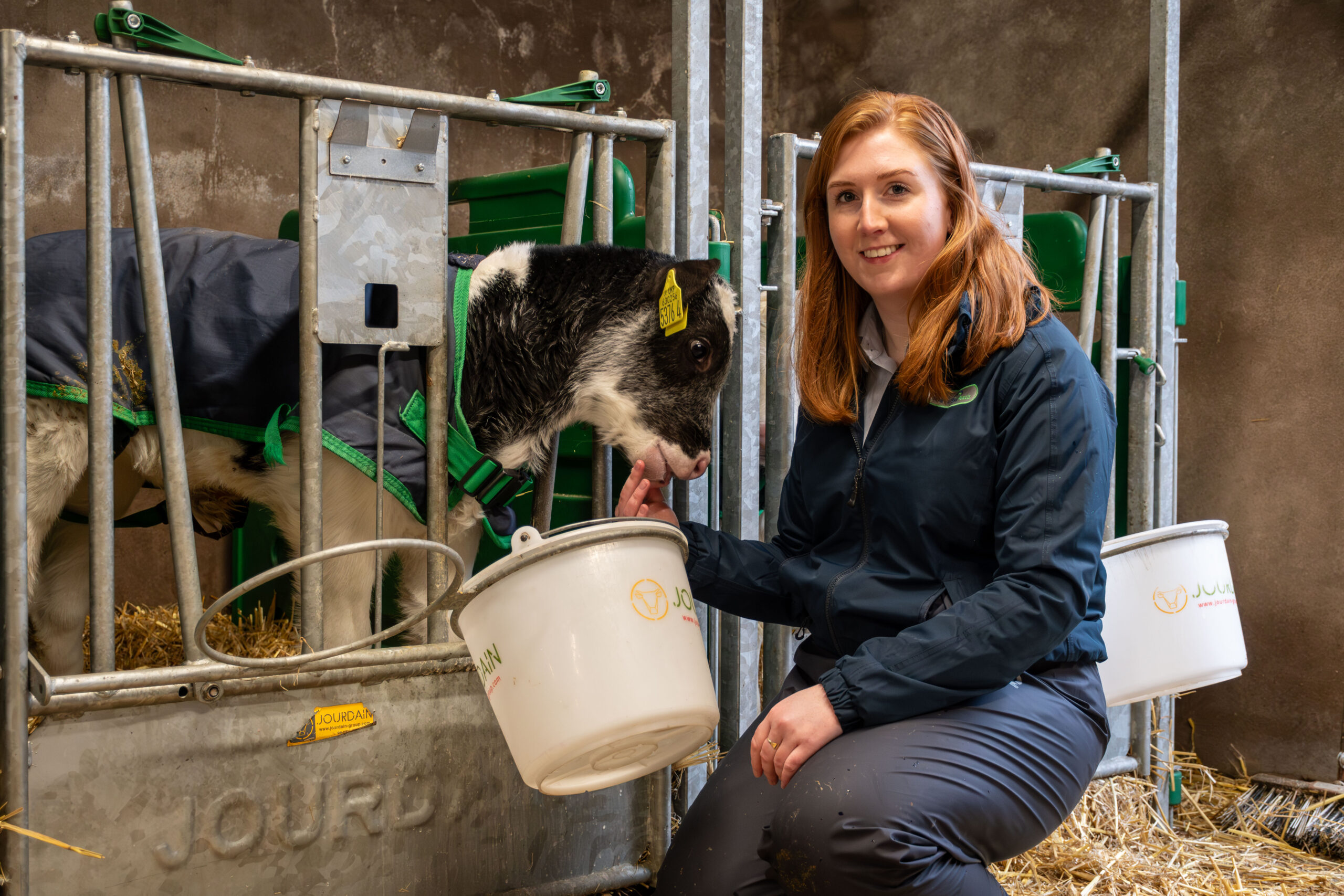 Get Your Calves Off To The Right Start. - Fane Valley Feeds